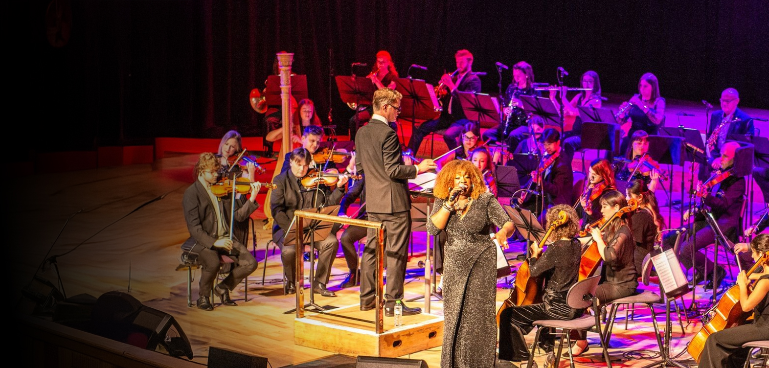 Contact - Jess Hughes